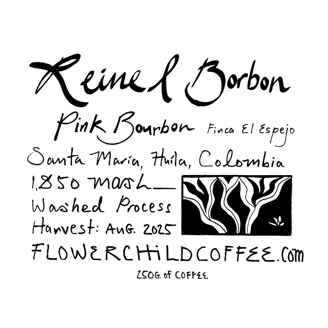 Reinel Borbon's Rosado – FLOWER CHILD COFFEE